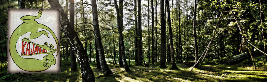 Dětský oddíl Kajmani